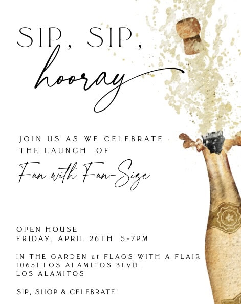 How to Throw a Launch Party...Fun-Size! - Fun with Fun-Size