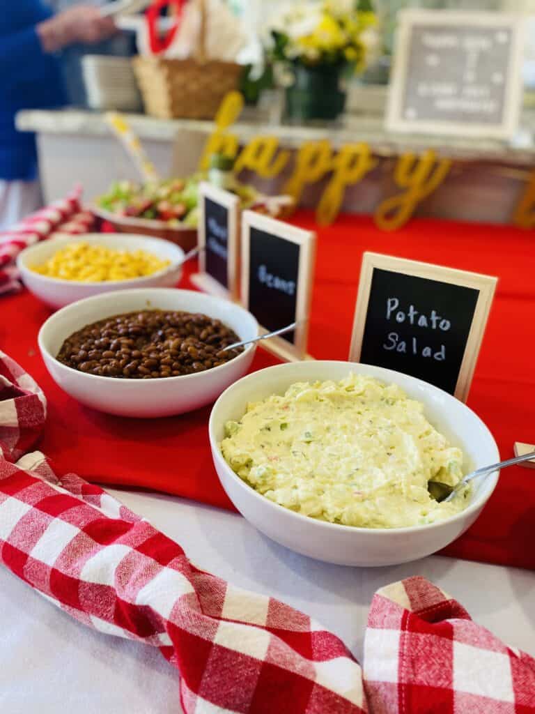 Picnic-Themed Red Gingham Party - Fun with Fun-Size